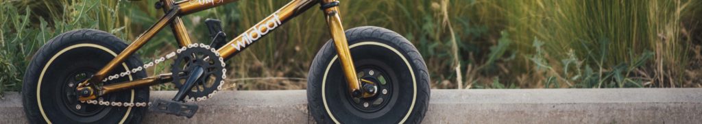 Tienda online especializada en Mini BMX en España.